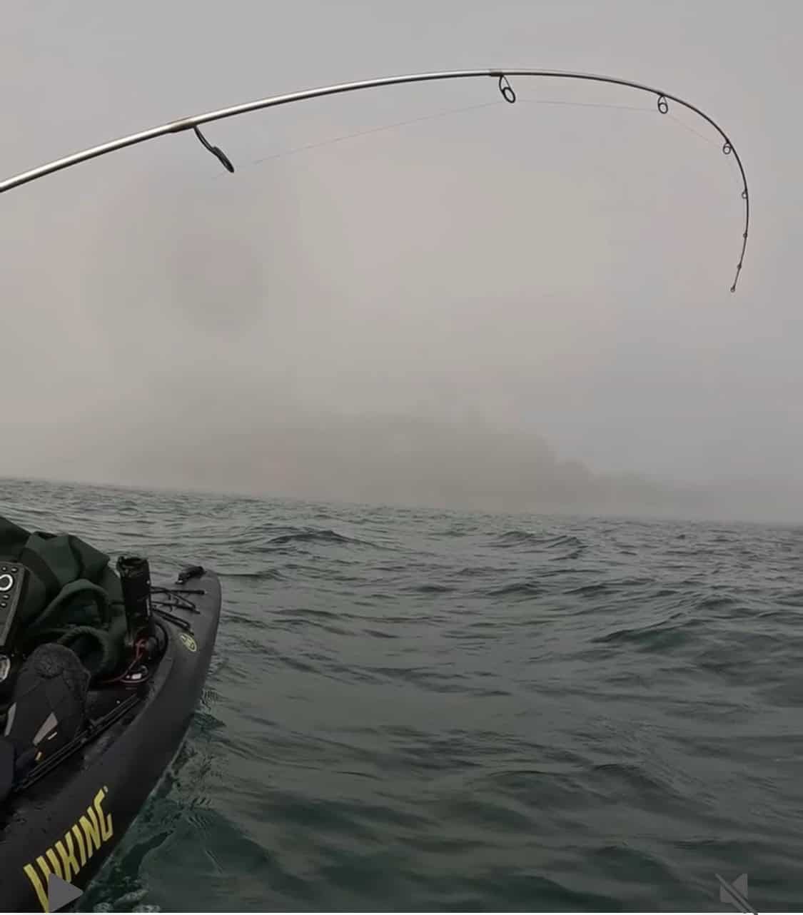 Fishing Rod Blank Action: Why It Matters | K-Labs NZ