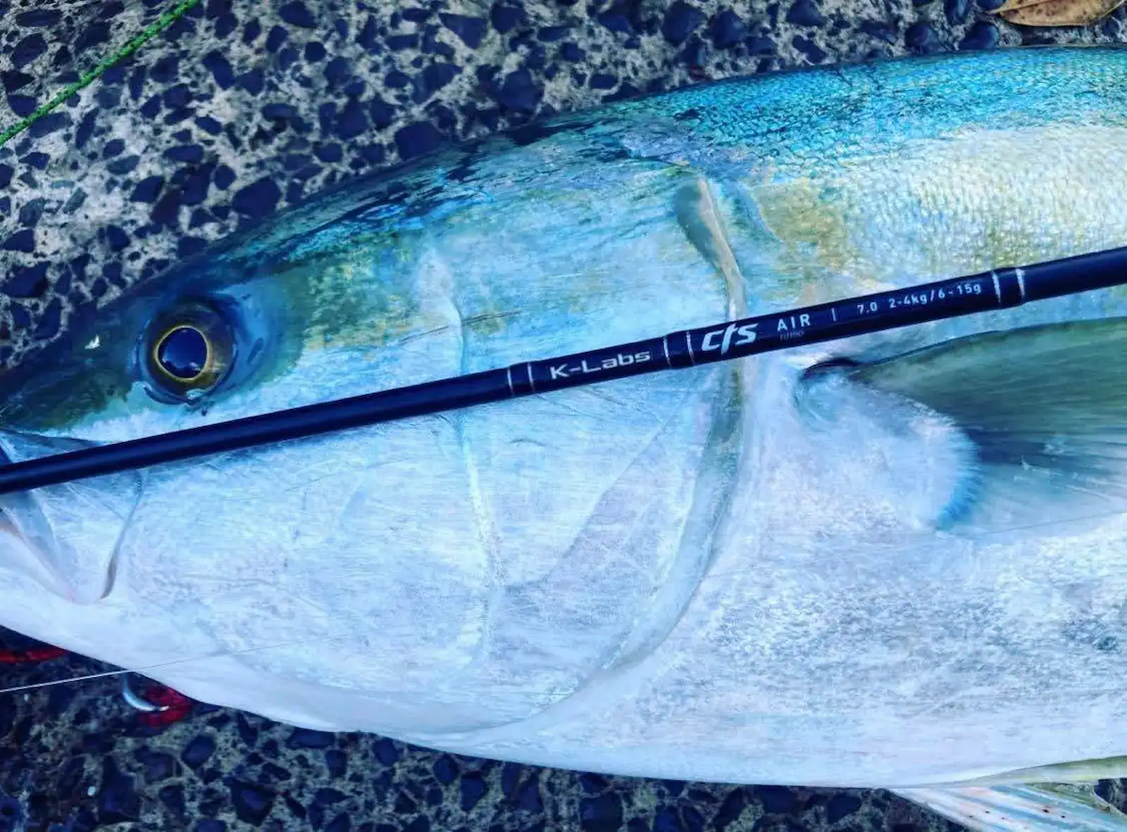 Custom Fishing Rods Built in NZ – K-Labs Rod Builders